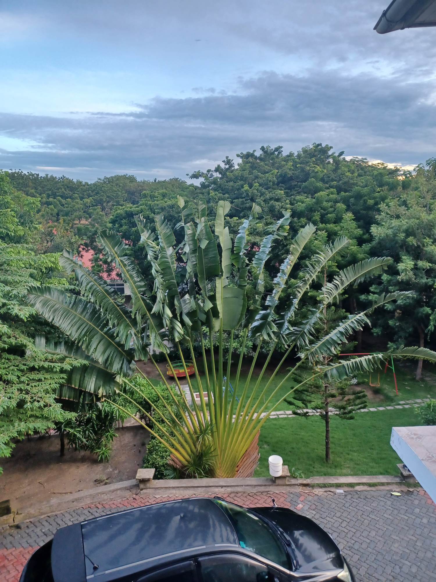 BUSTANI GARDEN ZA KISASA. – Ujenzi Makini